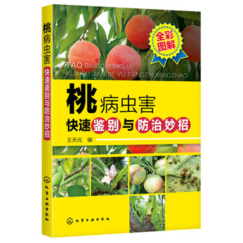 正版书籍 桃病虫害快速鉴别与防治妙招 王天元果树栽培桃高效栽培关键技术桃病虫害诊断与防治方法书桃树栽培种植技术大全教程书