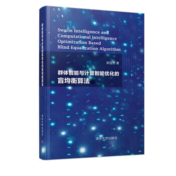 群体智能与计算智能优化的盲均衡算法