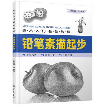 美术入门基础教程——铅笔素描起步