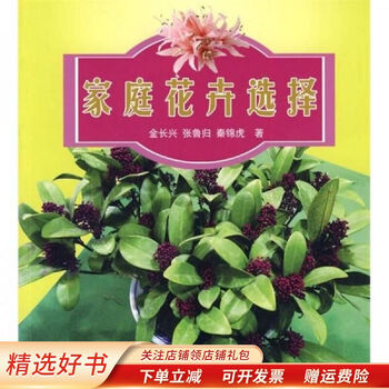 家庭花卉选择 张鲁归