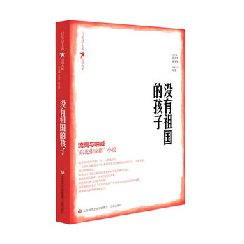 没有祖国的孩子/百年文学主流小说大系