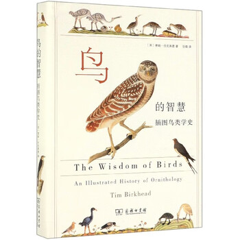 鸟的智慧(插图鸟类学史)(精)
