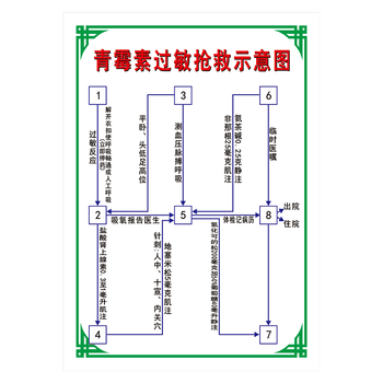 医院制度牌宣传画急救程序挂图药物过敏反应抢救流程图示意图贴画覆膜防水贴纸WSB169 WSB169-01 青霉素过敏抢救示意图 80*60厘米 覆膜防水PP贴纸