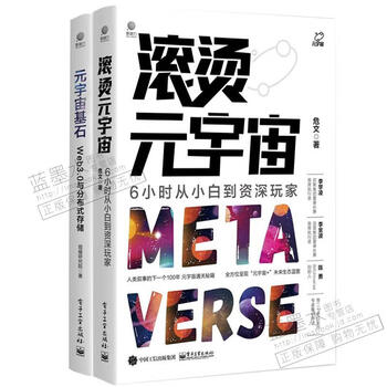 滚烫元宇宙：6小时从小白到资深玩家+元宇宙基石：Web3.0与分布式存储书籍2本