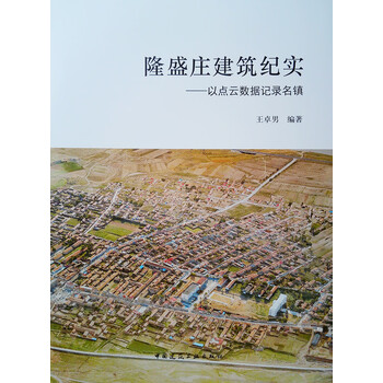 隆盛庄建筑纪实——以点云数据记录名镇