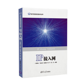 IP接入网（电子信息前沿技术丛书）