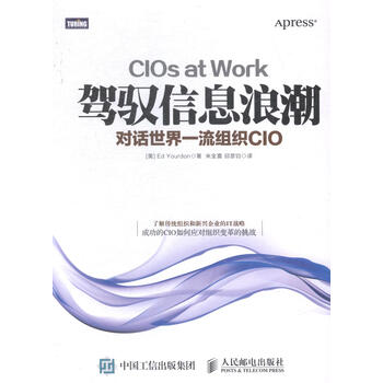 驾驭信息浪潮-对话组织CIO  计算机与互联网 9787115385840