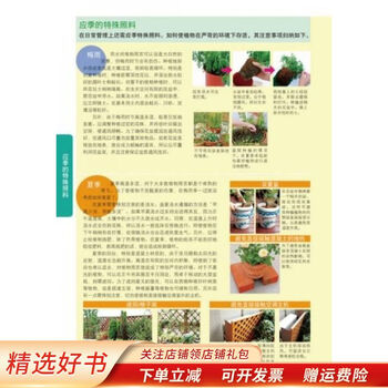 育花基础入门