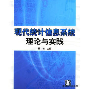 现代统计信息系统理论与实践 杜栋 主编【正版书】