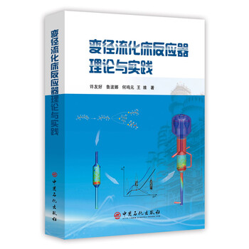 变径流化床反应器理论与实践