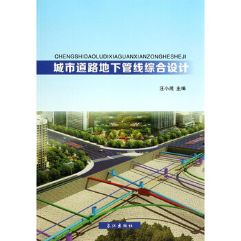 城市道路地下管线综合设计