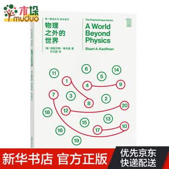 第一推动丛书 综合系列:物理之外的世界