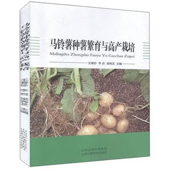 马铃薯种薯繁育与高产栽培