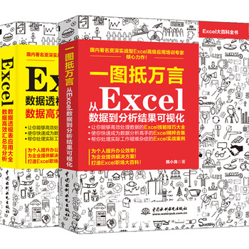 2本 一图抵万言从Excel数据到分析结果可视化 Excel数据透视表应用大全：数据高效汇总与分析