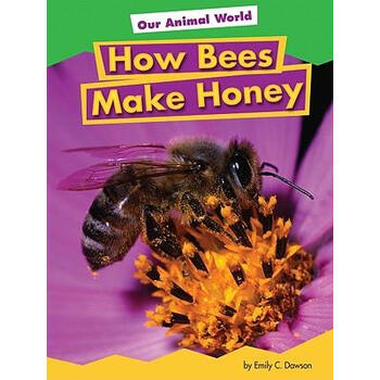 How Bees Make Honey