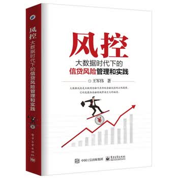 风控：大数据时代下的信贷风险管理和实践 王军伟 著 大数据风控是互联网金融乃至传统金融风险控制的必然 正版