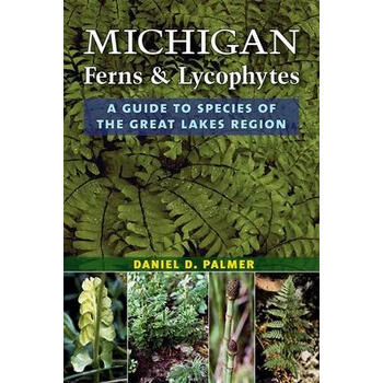 Michigan Ferns and Lycophytes: A Guide to Specie