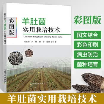 彩图版羊肚菌实用栽培技术农业种植技术大全书籍羊肚菌菌种高效种植书现代大棚作物育种学种植业农用农药知识