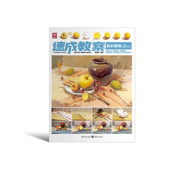 速成教案(6色彩静物)/敲门砖 李家友