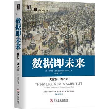 数据即未来:大数据王者之道  布瑞恩 戈德西(Brian Godsey)7628819