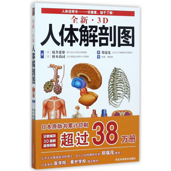 全新3D人体解剖图