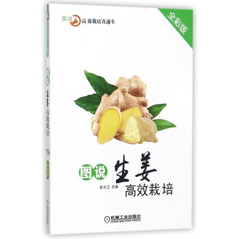 图说生姜高效栽培(全彩版)/图说高效栽培直通车