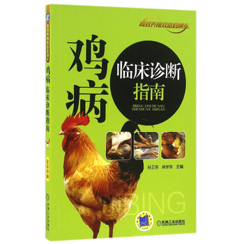 鸡病临床诊断指南/高效养殖致富直通车
