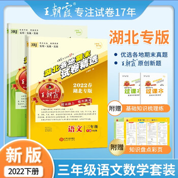 2022下册王朝霞湖北专版各地期末试卷精选小学期末试卷五六年级下册语文数学英语一二三四年级下册人教版冲刺卷 三年级（语文+数学）人教版套装