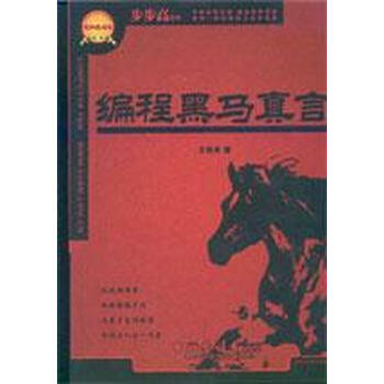 编程黑马真言 王佚男【正版书】