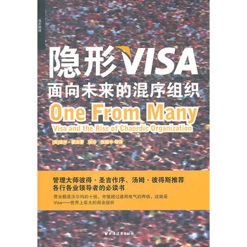 隐形VISA：面向未来的混序组织【正版图书 放心购买】