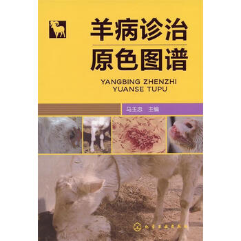 羊病诊治原色图谱 马玉忠主编【正版书】