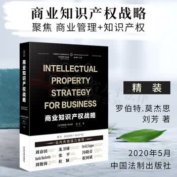 商业知识产权战略