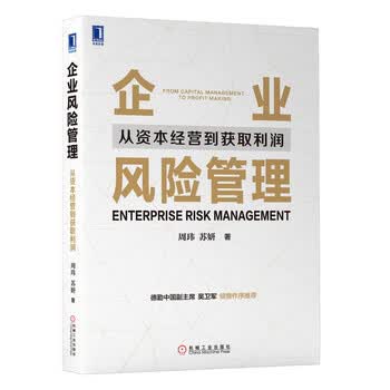 企业风险管理：从资本经营到获取利润