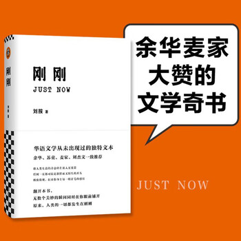 刚刚（余华麦家大赞的文学奇书！华语文学从未出现过的独特文本）