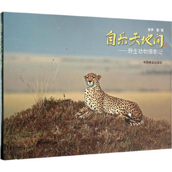 自乐天地间 曾铮 著摄 生物科学 