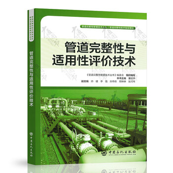 道完整性与适用性评价技术