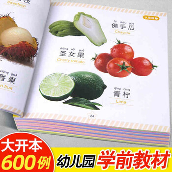 认物大全认标志认水果动物形状颜色绘本儿童0-1-3-4-5-6周岁宝宝读物认识名车各国卡片看图认物