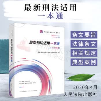 新刑法适用一本通 法律适用一本通丛书