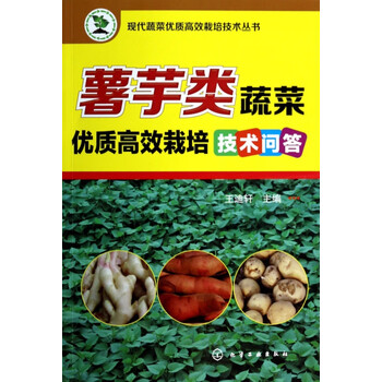 薯芋类蔬菜优质高效栽培技术问答/现代蔬菜优质高效栽培技术丛书