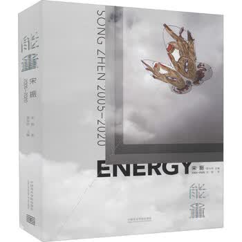 能量：宋振2005—2020 管怀宾  书籍