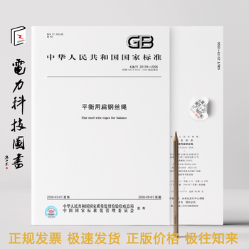 GB/T 20119-2006 平衡用扁钢丝绳