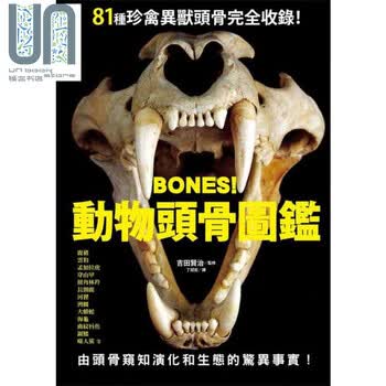 BONES 动物头骨图鉴 港台原版 吉田贤治 台湾东贩