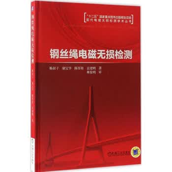 钢丝绳电磁无损检测【正版图书，放心下单】