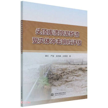 头顶库溃坝泥砂流受灾体冲击响应评估