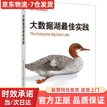【京送自营同仓发货】大数据湖佳实践 Alex,Gorelik 中国电力出版社