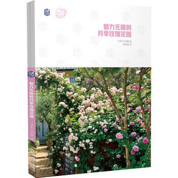 魅力无限的月季玫瑰花园
