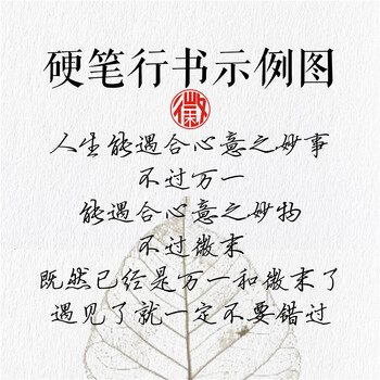 上林赋周生如故硬笔钢笔练字帖描红歌词本大学生文临摹本一生一世 硬笔行书
