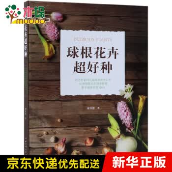 球根花卉超好种