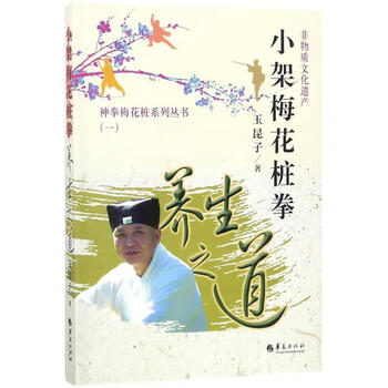 小架梅花桩拳