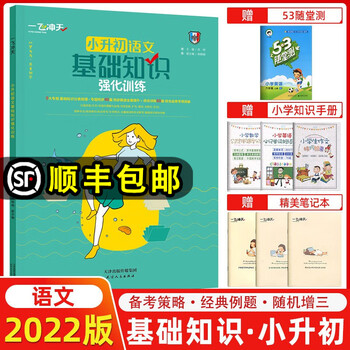 2022版 一飞冲天小升初语文基础知识强化训练积累与运用巩固提升 六年级语文专项突破分级训练